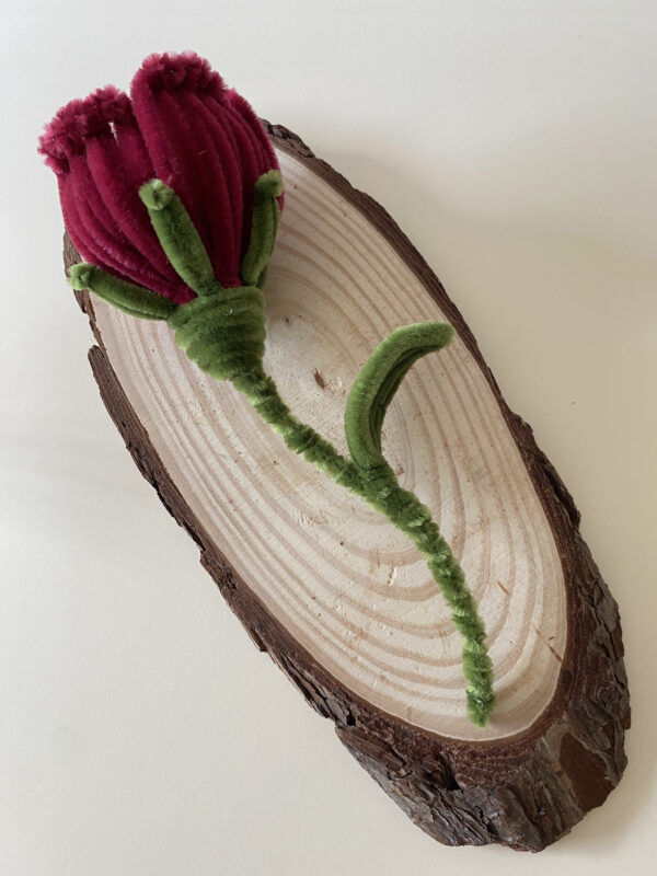 Rosa Granate – En abril y mayo