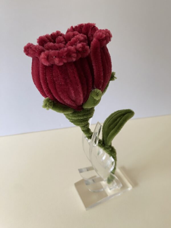 Rosa Granate – En abril y mayo